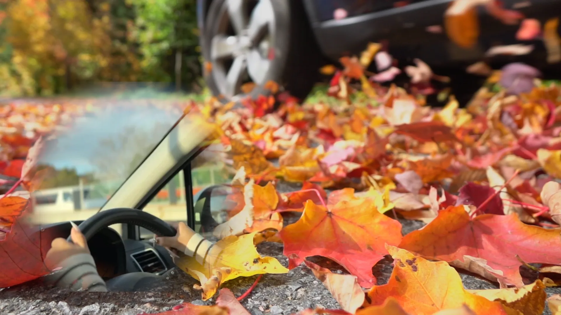 丸ワイプエフェクト適用してみた【PremierePro】 - rewin